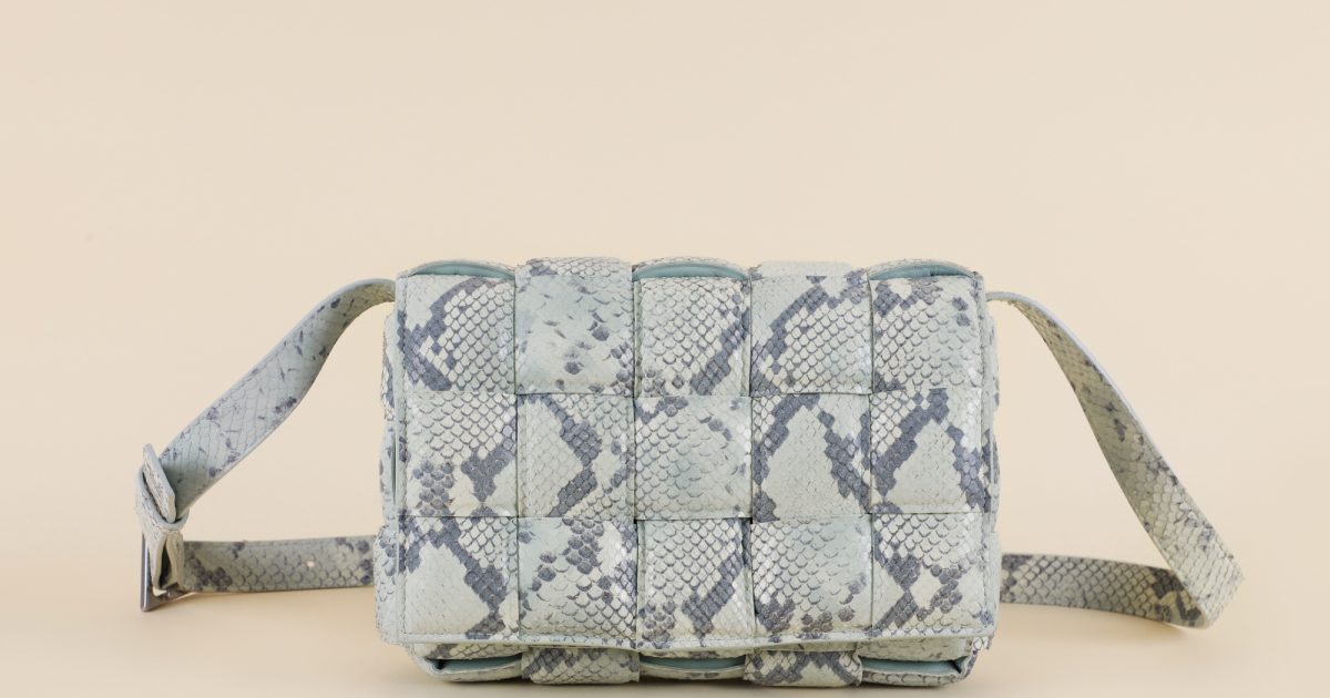 Bottega Veneta Python Printed Padded Cassette | Vivrelle